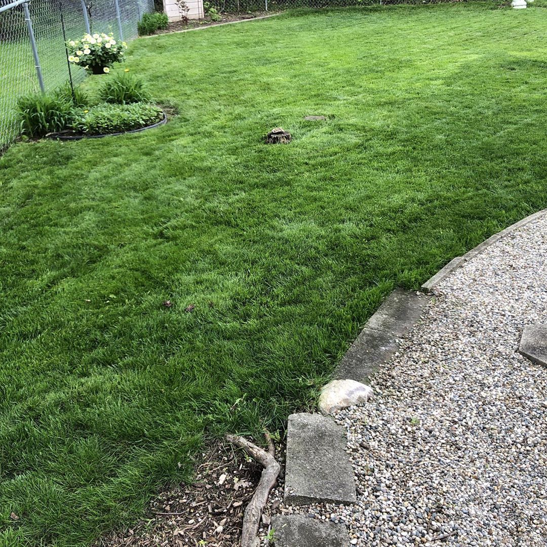 The Lawn – Don Kowalewski